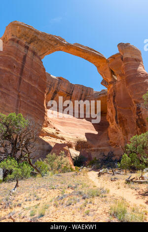 A natural arch, Rattlesnake Canyon, Black Ridge Wilderness, Colorado ...