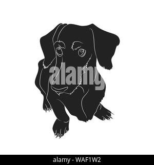Dachshund color line icon. Dog breed. Pictogram for web page, mobile ...
