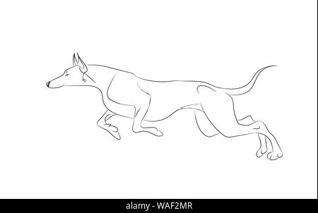 dog running, lines, vector, white background Stock Vector Image & Art ...