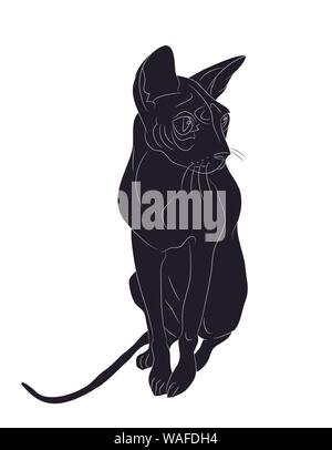 Cat side view icon. Outline cat side view vector icon color flat ...