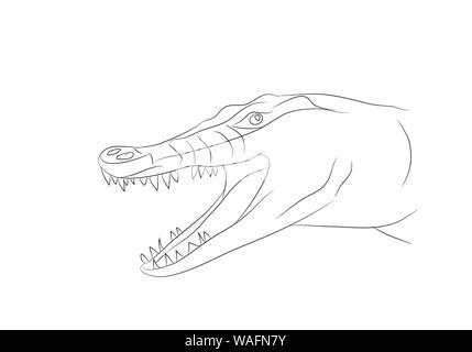 African animals illustration, drawing, engraving, ink, line art, vector ...