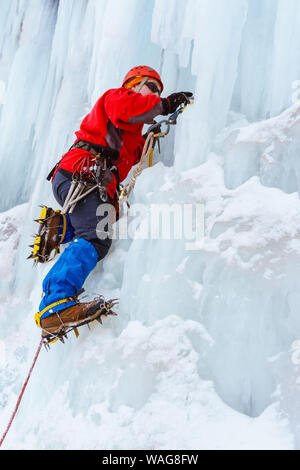 ice climber preraring running belay, screwing ice screw into glacier ...