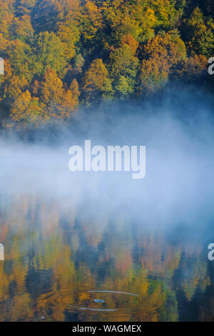 Foggy lake reflecting the reds and golds of the fall foliage in Lake ...