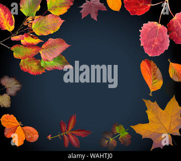 Autumn background, a frame of multicolored maple leaves on a light ...