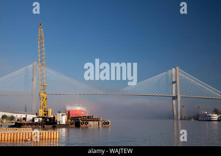 USA, Georgia, Savannah. Cable bridge crossing the Savannah River Stock ...