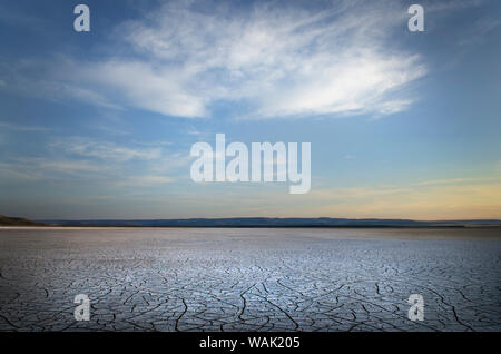 Cracked mud on dry lakebed of Rowles Lagoon, Credo Station, Western ...