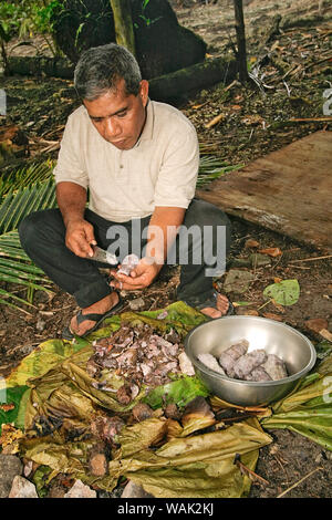 Kosrae, Micronesia (FSM). Local Kosrae man and his son at a traditional ...