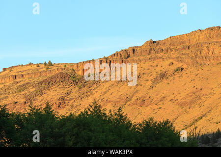 Basalt columns, Lower Deschutes River, Central Oregon, USA Stock Photo ...