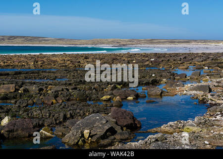 The coastline of Cape Dolphin Stock Photo - Alamy
