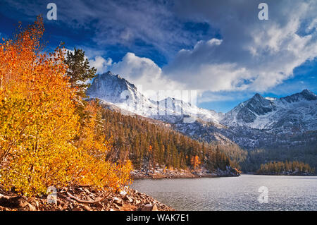 Fall aspens under Sierra peaks from South Lake, John Muir Wilderness ...