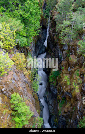 The Cowlitz River Stock Photo - Alamy