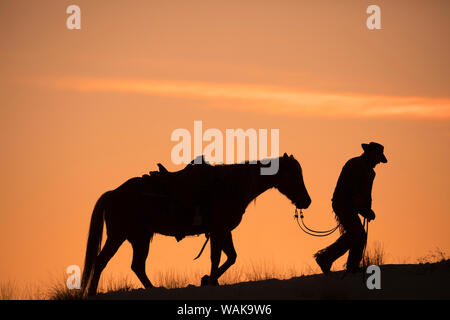 Cowboy leading his horse on a ranch in northeastern Wyoming Stock Photo ...