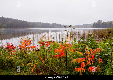 USA, Minnesota, Itasca State Park, Ozawindib Lake Fishing Dock Stock ...