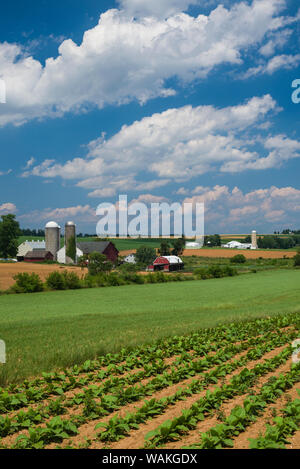 USA, Pennsylvania, Gap. Farm Stock Photo - Alamy