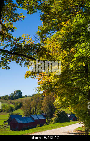 Jenne Farm Reading, Vermont, USA Stock Photo - Alamy