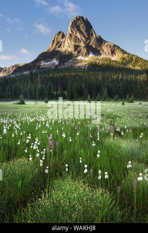 Liberty Bell Mountain and meadows of Washington State Pass. North ...