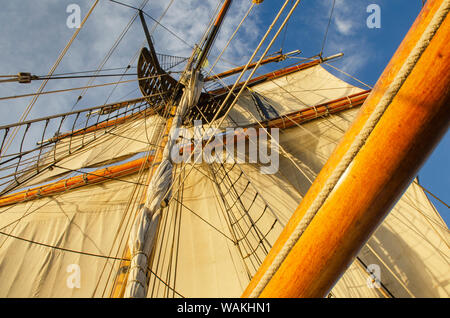 Mast rigging and sails of Hawaiian Chieftain, a Square Topsail Ketch ...