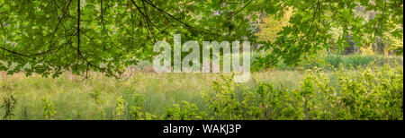 USA, Washington State, Seabeck. Panoramic sunset on Hood Canal Stock ...