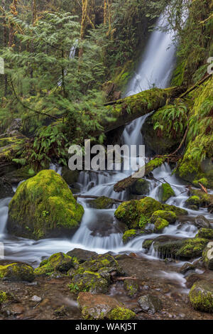 Merriman Falls in the Olympic National Forest, Washington State, USA ...
