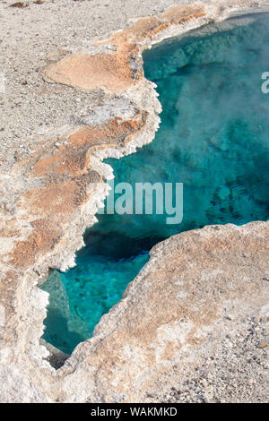Blue Star Spring, located in Yellowstone National Park, is one of the ...