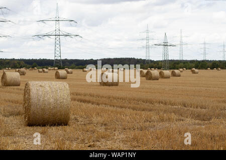 after harvest of wheat hay bundles remain for a while on the field ...