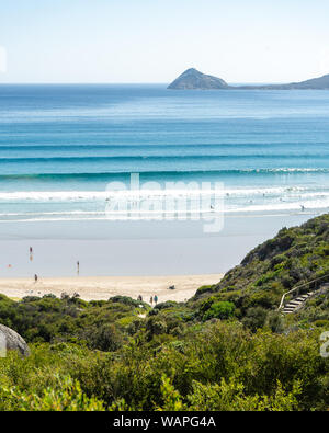 Picnic Bay Beach at Wilsons Prom - Wilsons Promontory Marine Park ...