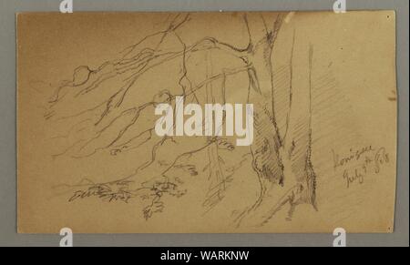 Drawing, Lower half of Tree, July 9, 1868 Stock Photo - Alamy