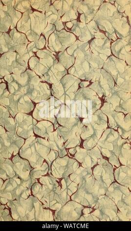 Dressage par le surfaix-cavalier des Stock Photo - Alamy