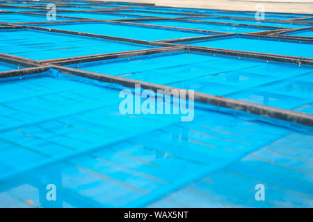 tray for drying food ingredient by sunlight. sun dryer is traditional ...