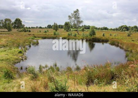 Lowland raised mire habitat site monitoring effects CO2 levels ...