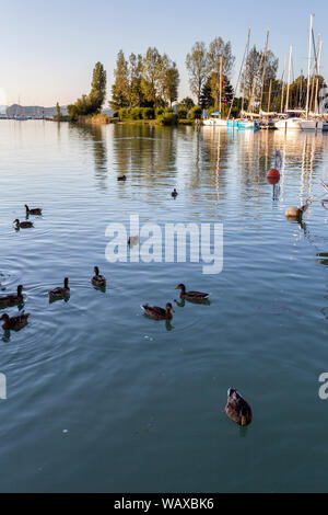 Waterfront at the Lake Balaton in Balatonfoldvar,Hungary Stock Photo ...