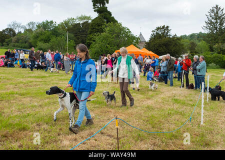 Hope Bagot Village Fete and Dog Show, near Ludlow, Shropshire Stock ...
