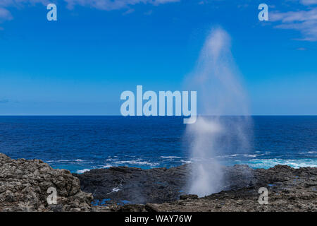 sunlight, atlantic ocean, salt water, sea, ocean, water, reflection ...