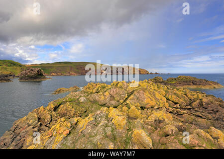 St Abbs Head and Starney Bay from St Abbs, Berwickshire, Scottish ...