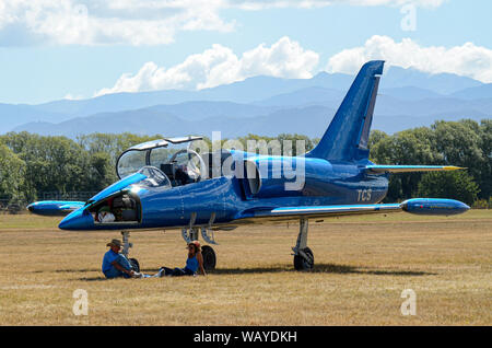 Aero L-39 Albatross trainer aircraft of the Breitling Jet Team Stock ...