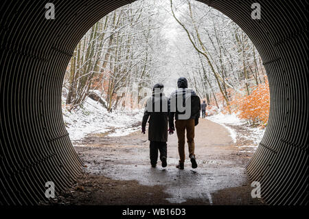 Tyldesley Loopline Walkway, Worsley, Salford, Manchester Stock Photo ...