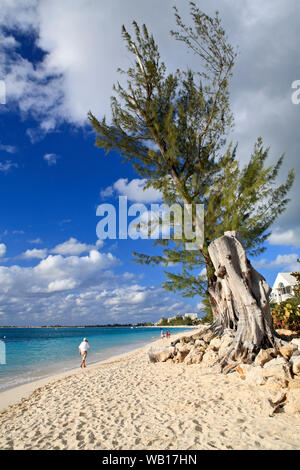 Grand Cayman Seven Mile Beach under over Freestyle swimmer in shallow ...