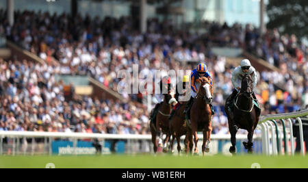 Runners and riders in the Weatherbys Racing Bank Handicap Hurdle with ...