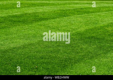 Background of beautiful, fresh green grass pattern Stock Photo - Alamy