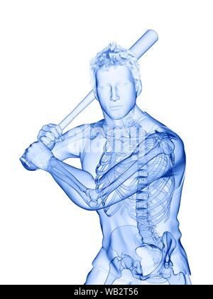 3D rendering of a human skeleton isolated on white background Stock ...