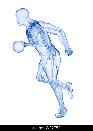 Basketball player skeleton - 3D illustration of male human skeleton ...