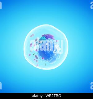 Animal cell, computer illustration Stock Photo - Alamy