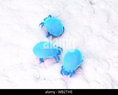 Dust mites, computer illustration Stock Photo - Alamy