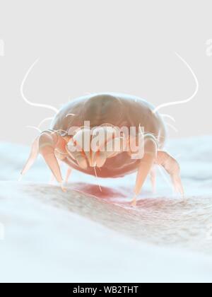 Dust mite, computer illustration Stock Photo - Alamy