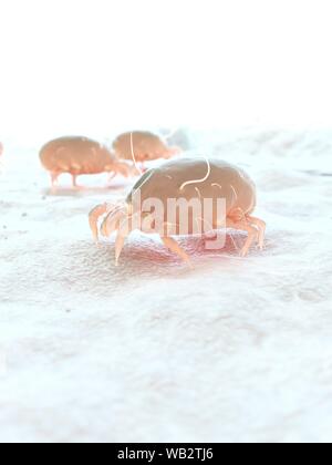 Dust mites, computer illustration Stock Photo - Alamy