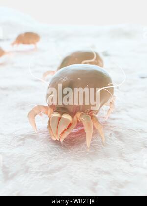 Dust mites, computer illustration Stock Photo - Alamy