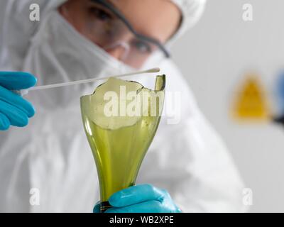 Forensic scientist collecting evidence by taking a DNA ...