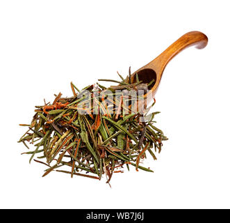 Close-up of bog Labrador tea flower or Rhododendron groenlandicum ...