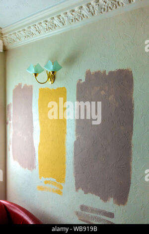 paint colour test sample panels on house interior wall Stock Photo - Alamy