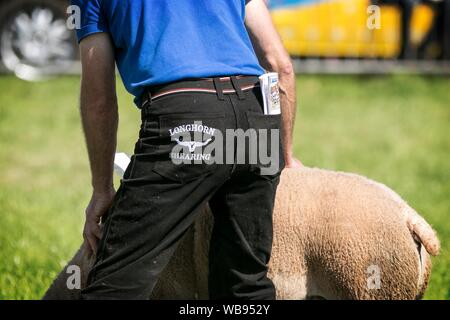 A sheep shearing display by Joe Neery from Longhorn shearing at the ...
